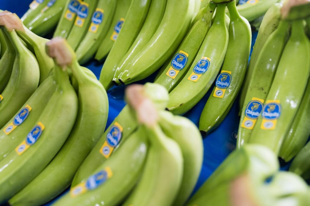 Αποκλειστική συνέντευξη του κ. Peter Stedman, Διευθυντή Βιωσιμότητας ...