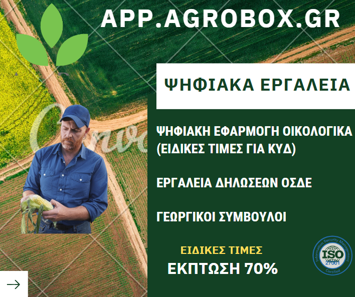 Κλάδεμα ελιάς – ομπρέλα: Πώς γίνεται και ποια είναι τα οφέλη ...
