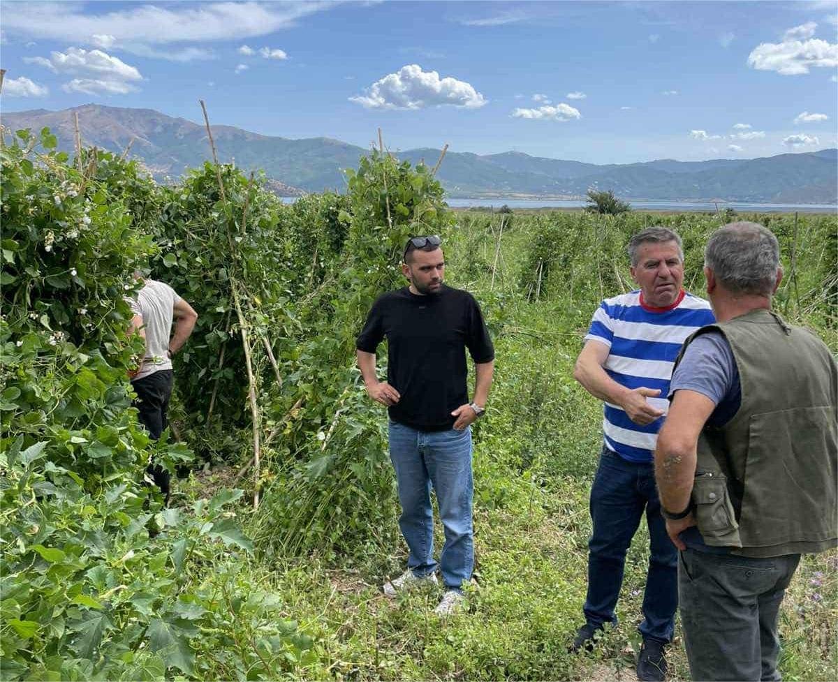 Αυτοψία σε καλλιέργειες φασολιού με ζημιές | Agronewsbomb | Ειδήσεις ...